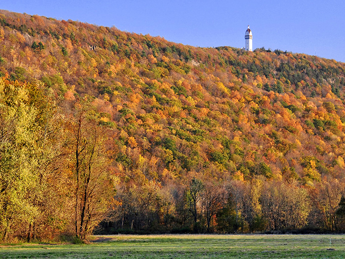Talcott Mountain in autumn glory, with Heublein Tower peeking above the treeline like a fairy tale castle waiting to be discovered.