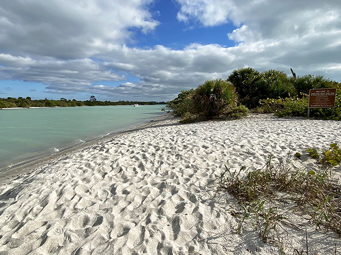 Paradise found! The pristine white sands of Stump Pass Beach meet turquoise waters under a dramatic Florida sky, creating nature's perfect postcard moment.