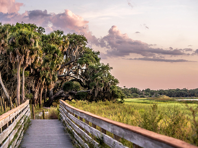 Sunset paints the sky in cotton candy hues as the boardwalk beckons you deeper into Myakka's wild heart. Mother Nature showing off again.