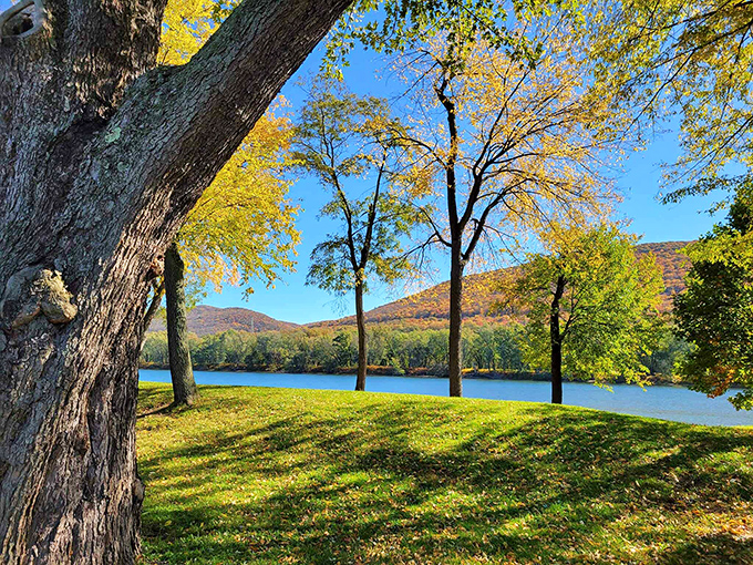 Fall's golden touch transforms Susquehanna State Park into nature's art gallery. The river view through autumn-kissed trees is Maryland at its most photogenic.