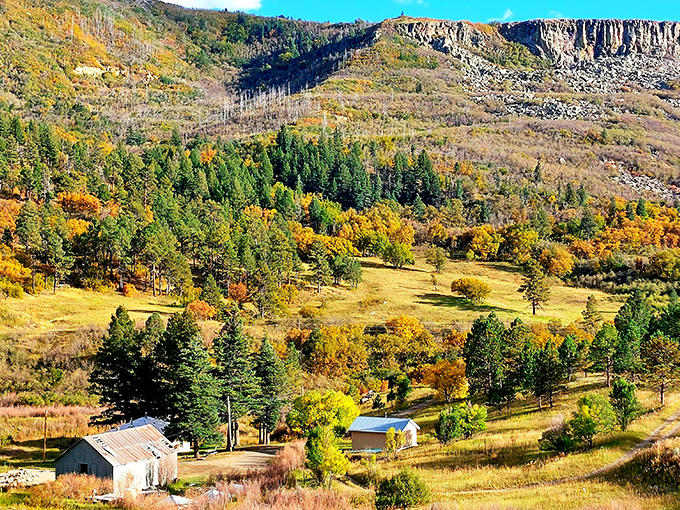 Nature's own amphitheater unfolds at Sugarite Canyon, where dramatic rock formations stand like ancient sentinels watching over a verdant valley below.