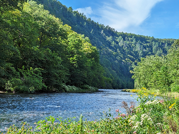 Pine Creek flows serenely between towering green walls, nature's version of the ultimate hallway makeover &ndash; just add 800 million years of patience.