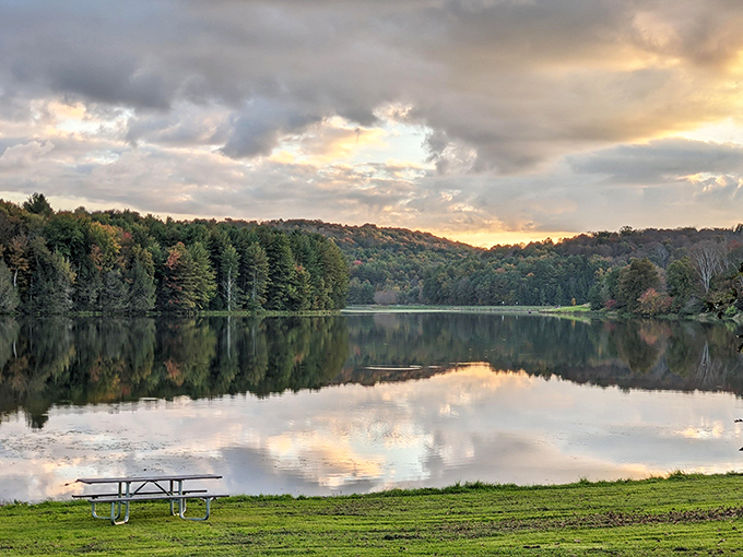 Nature's perfect mirror act at Stephen Foster Lake, where the sky and trees compete for who can create the more stunning reflection.