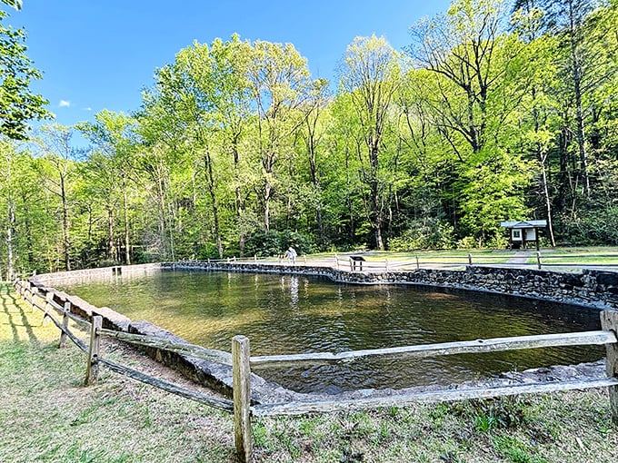 The trout pond at Jones Gap offers a mirror-like reflection of the surrounding mountains&mdash;nature's selfie station without the need for filters.