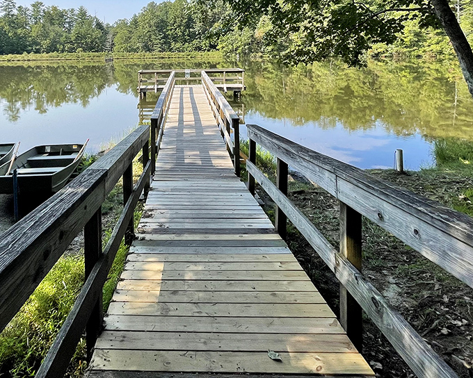 The wooden pier stretches into the tranquil lake like an invitation to slow down. Nature's version of the red carpet, minus the paparazzi.