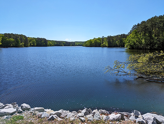 Pin Oak Lake stretches out like nature's welcome mat, its mirror-like surface reflecting skies so blue they'd make Sinatra jealous.