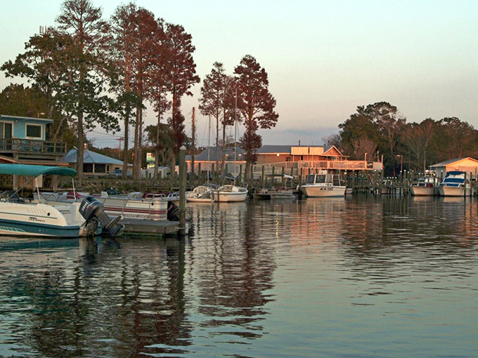 Sunset transforms Crystal River's marina into a watercolor painting come to life, where boats gently rock as if nodding in agreement with your decision to visit.
