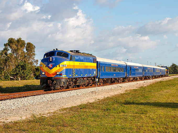Rolling through Southwest Florida's verdant landscape, the Seminole Gulf Railway's distinctive colors announce its arrival like a cheerful messenger from another era.