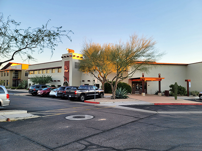 The unassuming exterior belies the carnivorous paradise within. Like finding a treasure map disguised as a grocery list.