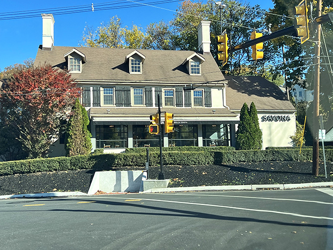 Approaching Savona feels like discovering a secret culinary embassy&mdash;diplomatic immunity from mediocre meals guaranteed at this stately roadside gem.
