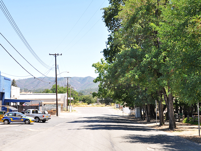 Where the mountains meet Main Street &ndash; Ukiah's tree-lined avenues offer shade in summer and a reminder that nature is never more than a glance away.