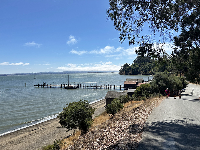 The gentle waters of San Pablo Bay lap against China Camp's shoreline, where history and natural beauty create the perfect escape from city life.