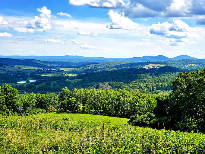Mother Nature's version of a standing ovation, where every mountain layer adds another verse to Virginia's greatest hits.