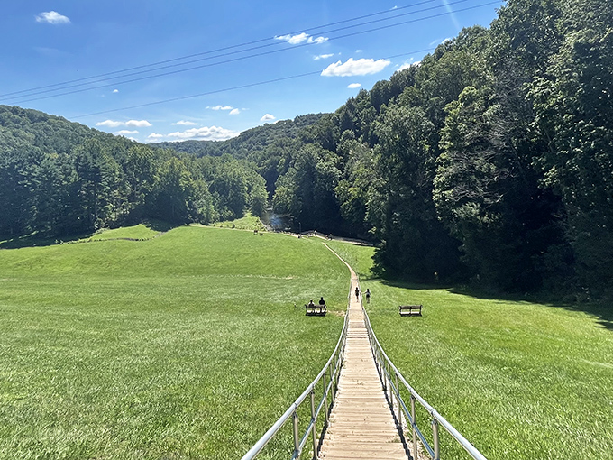 A wooden boardwalk stretches across an emerald meadow, inviting you into the forest like nature's red carpet. Adventure awaits at the end of this path.