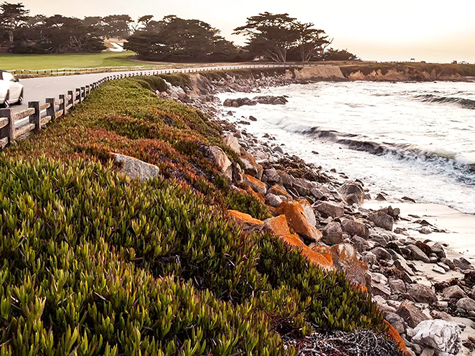 Where land meets sea in perfect harmony. The iconic coastline of 17-Mile Drive showcases California's natural splendor with every curve of shoreline.