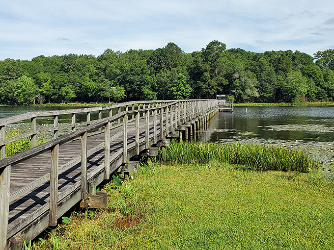 That wooden pier stretching across the water is your gateway to some seriously peaceful fishing and stunning lake views.