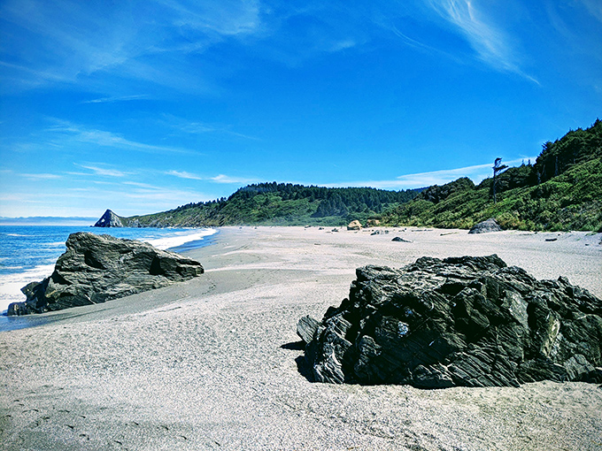 Where forest meets shore &ndash; this pristine beach at Humboldt Lagoons offers the kind of solitude that makes you forget what century you're in.