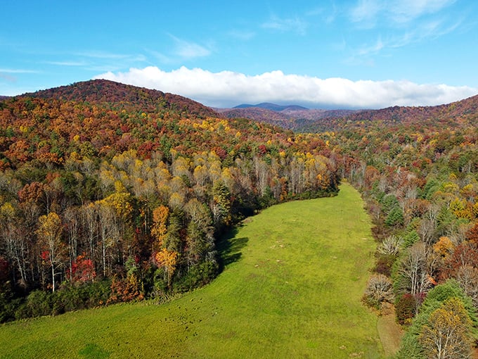 Fall in Georgia isn't playing around. This aerial view showcases autumn's paintbrush transforming Smithgall Woods into a masterpiece that would make Bob Ross weep with joy.