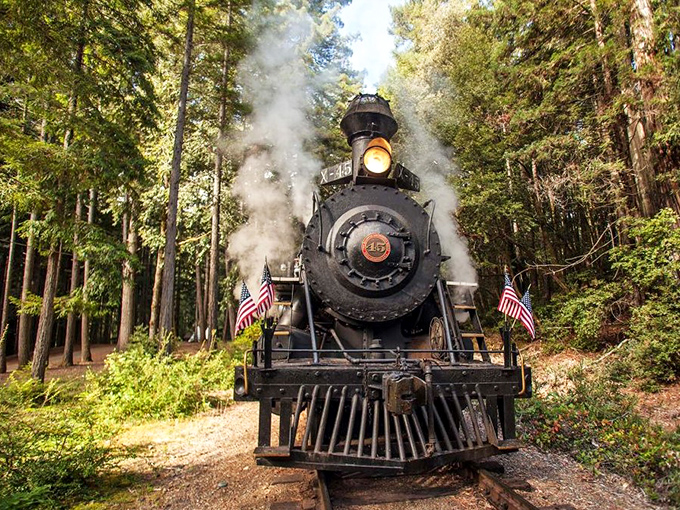Steam meets stream as the historic locomotive crosses a trestle bridge, proving that Mother Nature and human engineering can create perfect harmony.