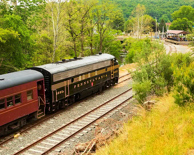 The classic Pennsylvania locomotive glides through lush greenery, a black and gold time machine cutting through the Pocono wilderness like a well-dressed guest at nature's party.