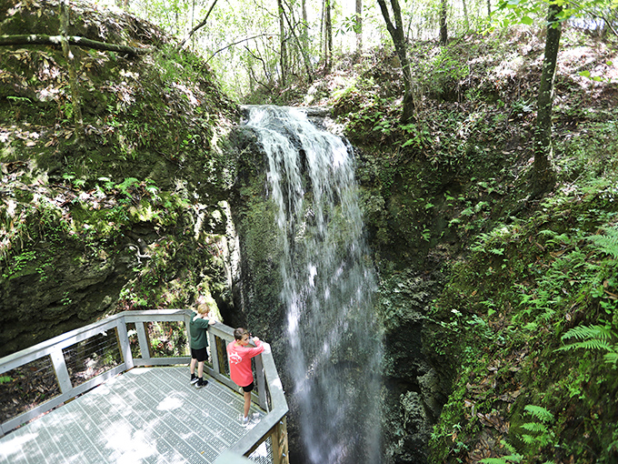 Florida's tallest waterfall plunges 73 feet into a mysterious sinkhole, proving the Sunshine State has more vertical surprises than just high-rise condos.