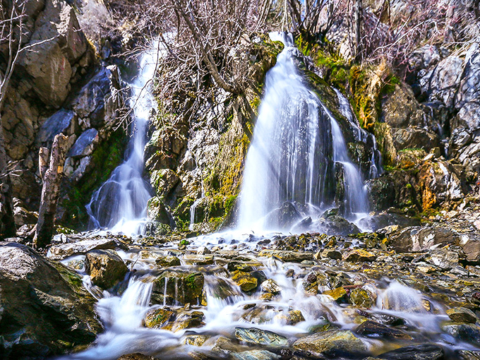 The desert transforms into paradise as multiple streams converge, creating a refreshing oasis that feels like Nevada's answer to a tropical getaway.