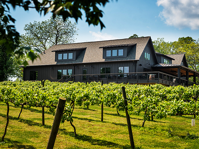 The winery's stunning architecture blends rustic charm with modern elegance, like a Pinterest board that somehow came to life in upstate South Carolina.