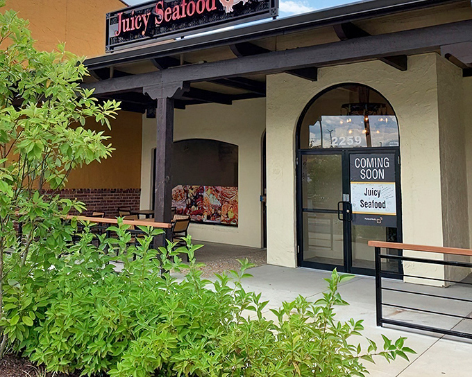 The unassuming exterior of Juicy Seafood belies the flavor explosion waiting inside. Like finding a pearl in an oyster, this Silver Spring gem rewards those who venture beyond the modest fa&ccedil;ade.