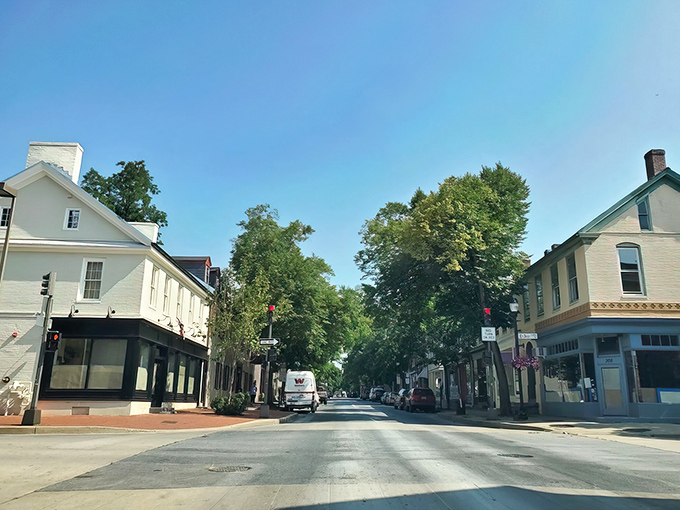 Market Street unfolds like a Norman Rockwell painting where the shops actually exist and the coffee's genuinely good.