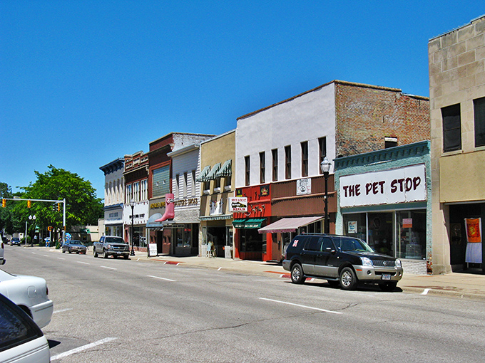 Historic storefronts line Fremont's downtown, where local shops like The Pet Stop maintain small-town charm without small-town limitations.