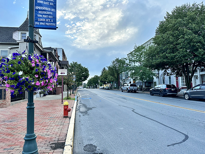 Market Street's hanging flower baskets aren't just decorative&mdash;they're a metaphor for Selinsgrove life: colorful, carefully tended, and impossible not to admire.