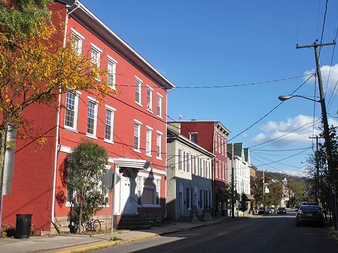 When autumn paints the town, even the power lines seem to frame nature's masterpiece like an outdoor gallery.