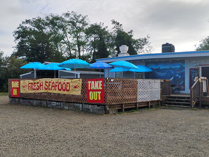 The blue umbrellas beckon like maritime flags, signaling to hungry travelers that seafood salvation awaits at this unassuming coastal gem. 