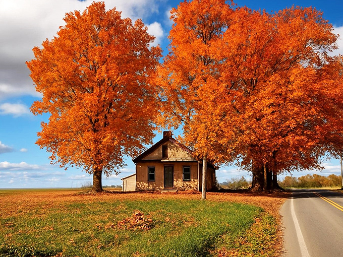 Nature's most spectacular show doesn't require tickets &ndash; just two maple trees putting on their autumn finest around a humble roadside home.