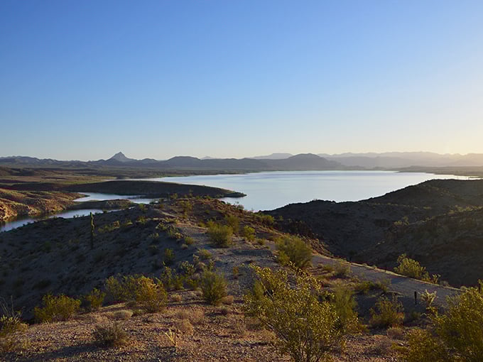 Alamo Lake's waters reflect the surrounding mountains like a mirror. This postcard-perfect view changes colors throughout the day, never showing the same face twice.