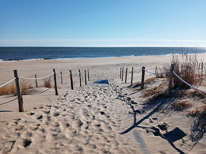 Nature's own red carpet unfurls toward the Atlantic, complete with golden hour lighting that Hollywood directors envy.