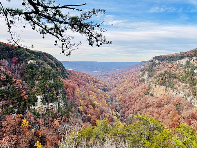 Autumn's fiery palette transforms Cloudland Canyon into a kaleidoscope of crimson and gold, revealing the dramatic depth of this Georgia treasure.