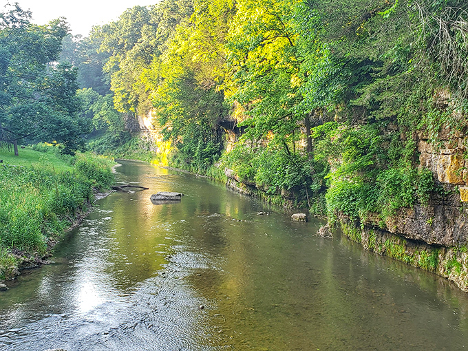 Nature's masterpiece on full display: limestone cliffs embrace the gentle Apple River, creating a scene that belongs on the cover of Illinois' tourism brochure.