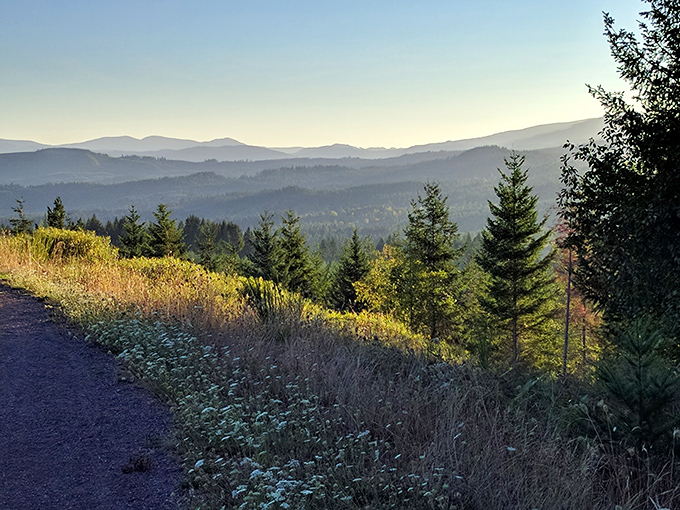 Where the sky puts on a daily show that beats anything on streaming services. Those clouds look like they're auditioning for a Miyazaki film.