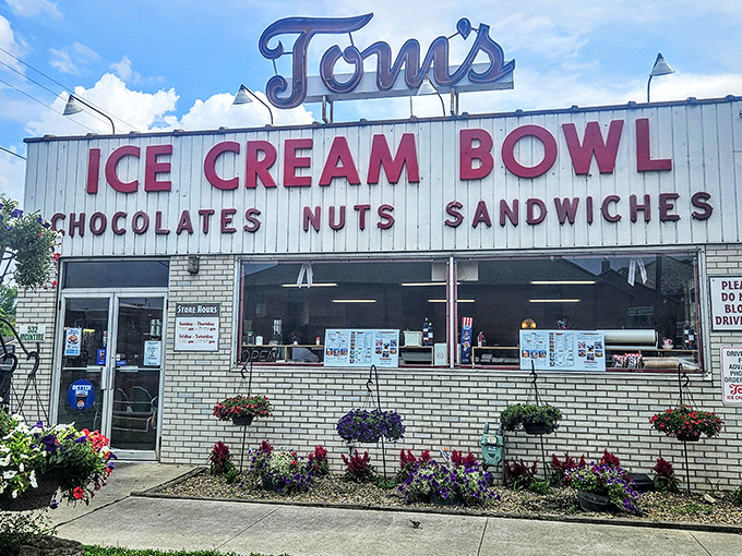 The neon sign beckons like an old friend. Tom's Ice Cream Bowl stands proudly against the Ohio sky, promising sweet salvation to all who enter.