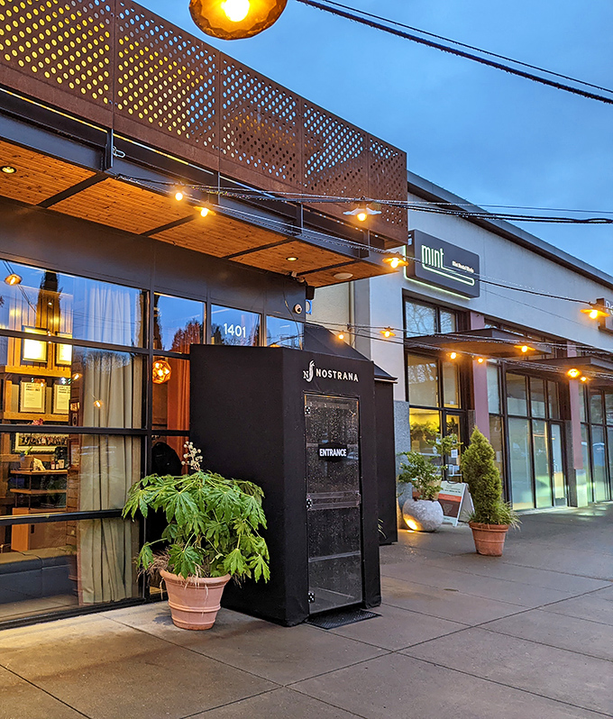 Nostrana's twilight exterior beckons with warm string lights and Mediterranean cypress trees, creating a slice of Italy in Southeast Portland.