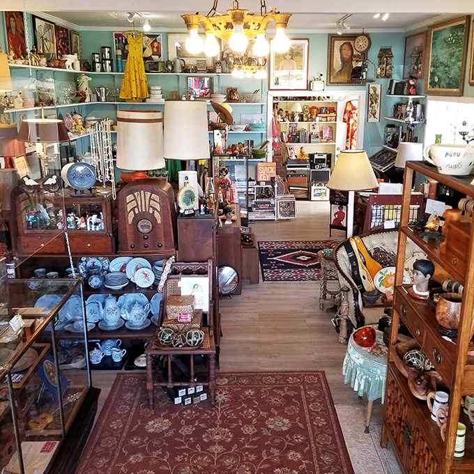 Step into this treasure trove where charming antiques and vintage finds fill every shelf, waiting for their next home.