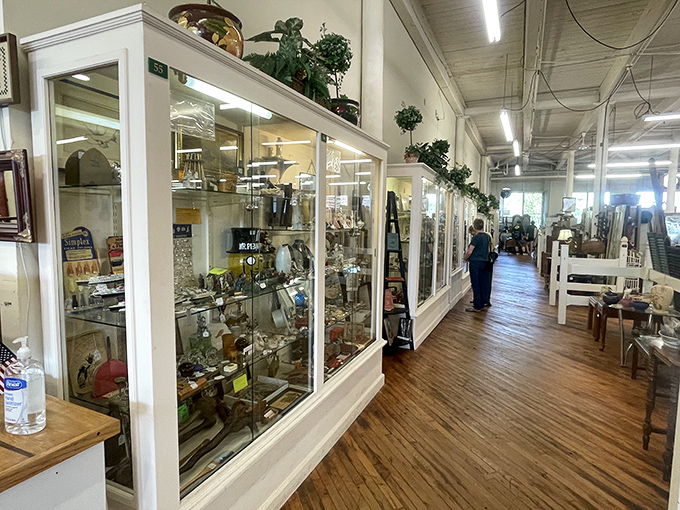 Glass display cases stretch into infinity, each one a miniature museum of memories waiting to be rediscovered and given new life.