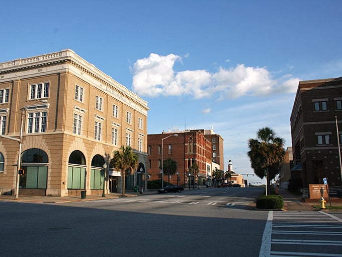 Downtown Albany's historic architecture stands as a testament to the city's rich past, while palm trees hint at its subtropical Southern charm.