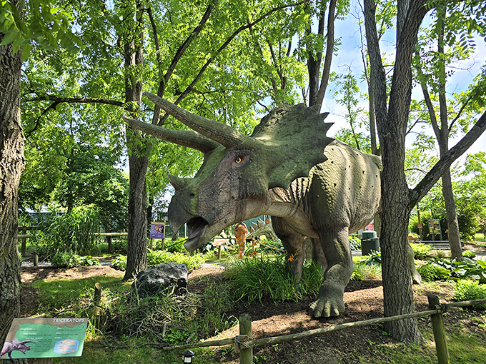 This triceratops might be animatronic, but the startled jump from unsuspecting visitors is 100% authentic. Prehistoric thrills in Pennsylvania's backyard!