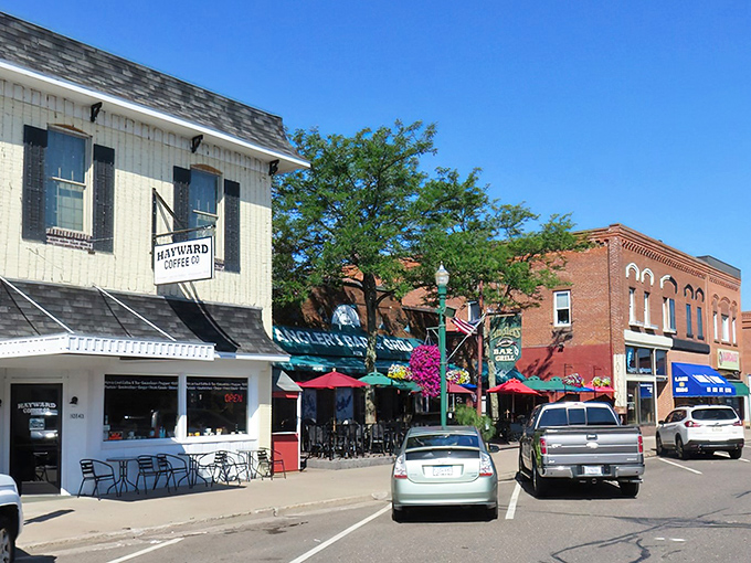 Downtown Hayward&rsquo;s Hayward Coffee shines under blue skies, capturing the town&rsquo;s relaxed, small-town charm.