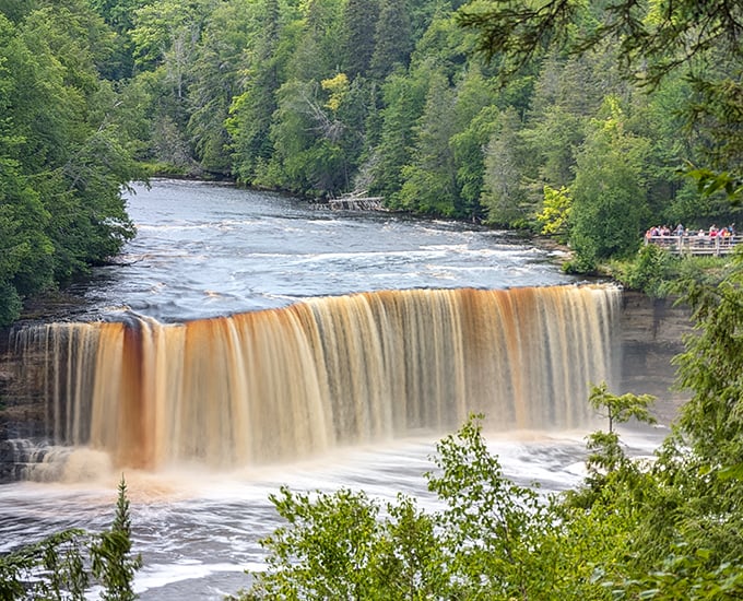 Nature's root beer cascade! The Upper Falls of Tahquamenon thunders down with its distinctive amber color, creating Michigan's most photogenic waterfall moment.