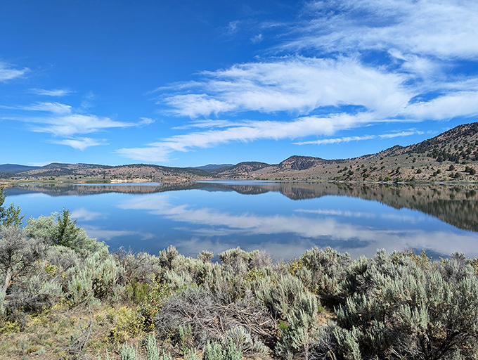 Nature's perfect fence line! These towering pines stand guard over Unity Lake's shimmering waters, offering shade and that quintessential Eastern Oregon postcard moment.
