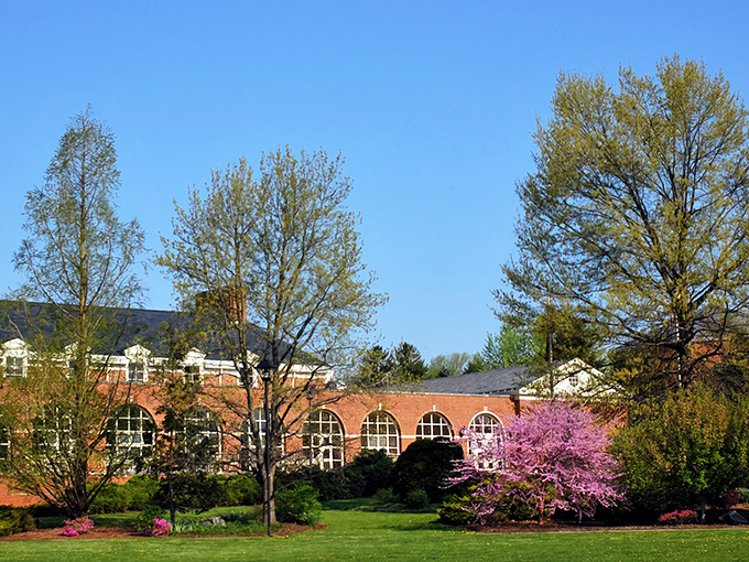 Downtown Selinsgrove looks like a movie set where everyone actually lives. Those brick buildings have witnessed more history than your grandmother's photo albums.