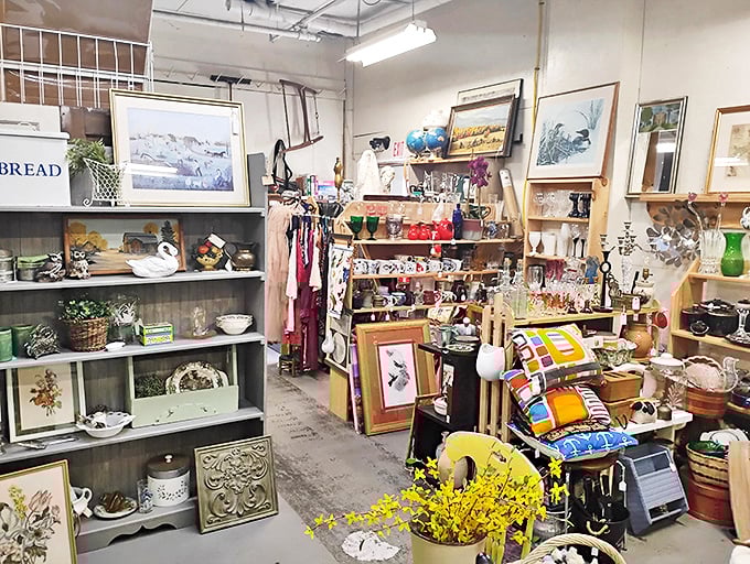 Step into organized chaos where every shelf tells a story and every corner promises discovery – the ultimate playground for the perpetually curious.